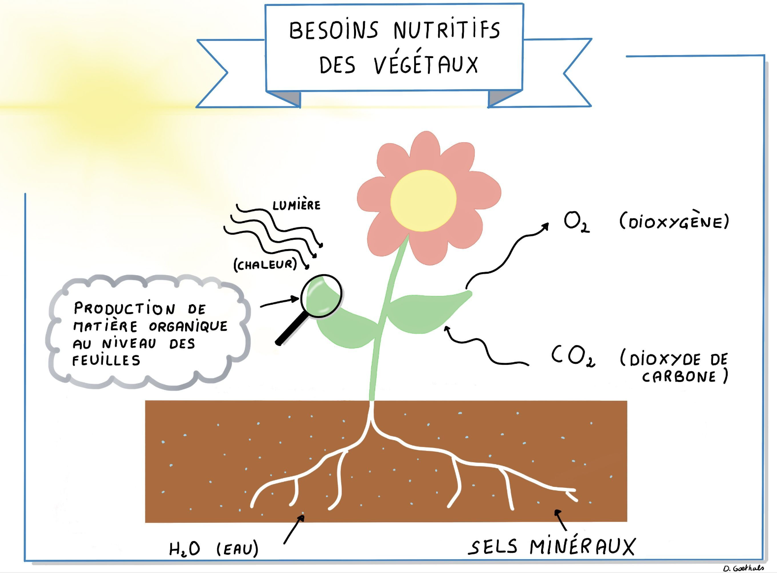 CE1D Sciences | Synthèses